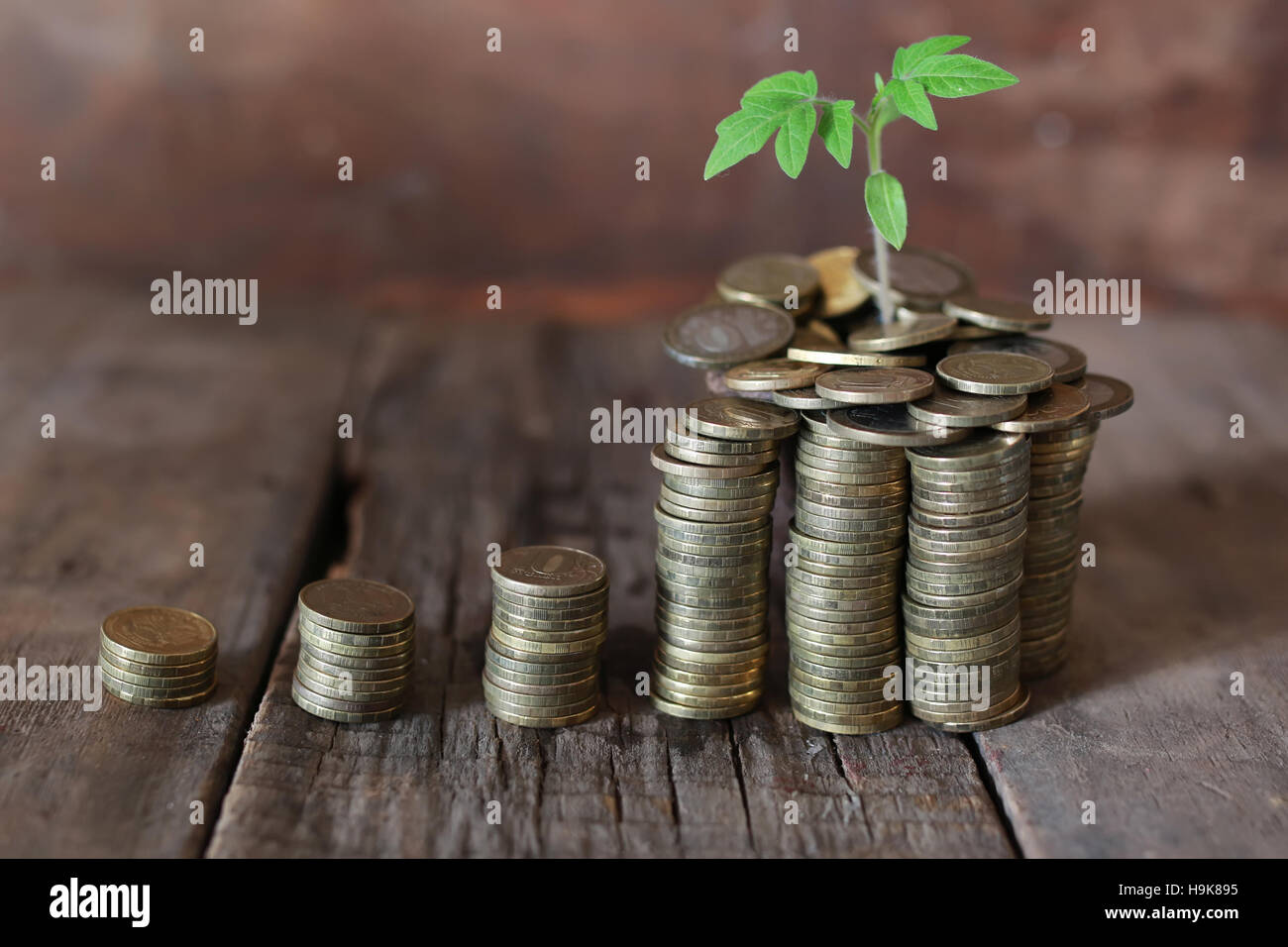 plant and stacks of coins Stock Photo - Alamy