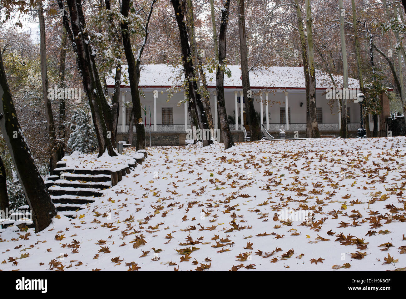 Sadabad palace hi-res stock photography and images - Alamy