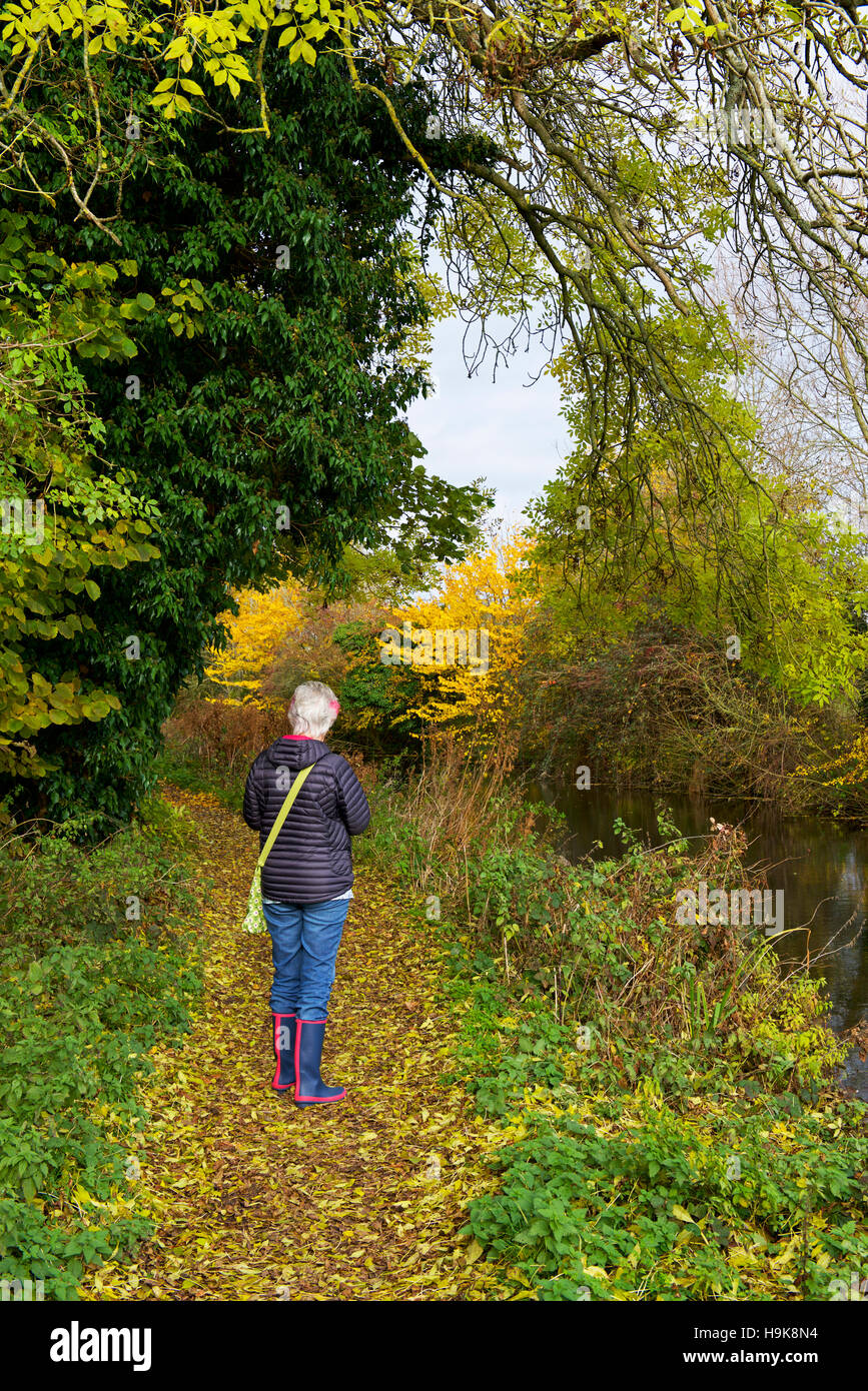 Senior woman walking on the towpath of the Basingstoke Canal at ...