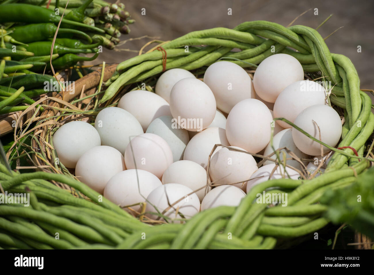 Green duck eggs and brown egg hi-res stock photography and images - Alamy