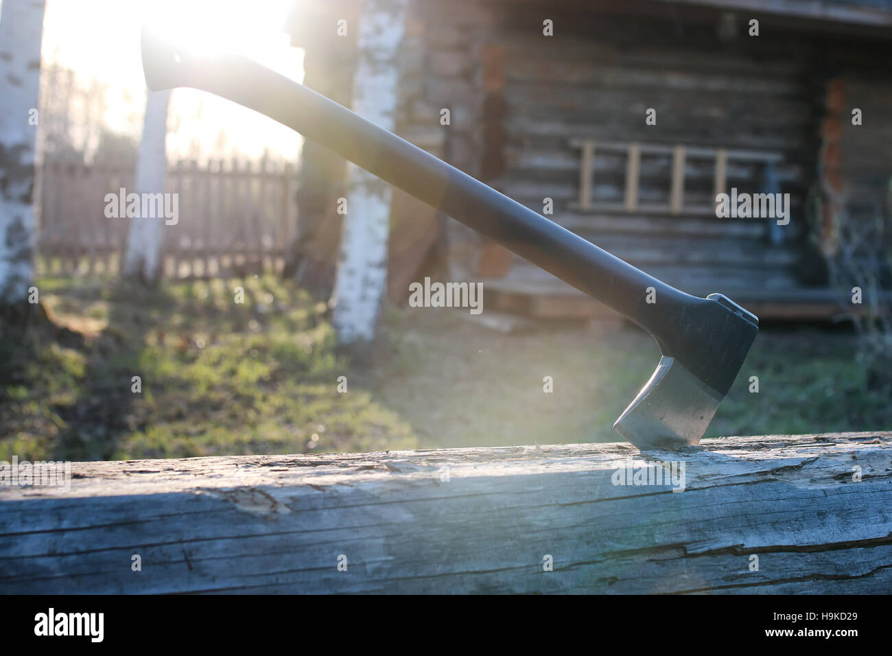 axe in wood outdoor Stock Photo - Alamy
