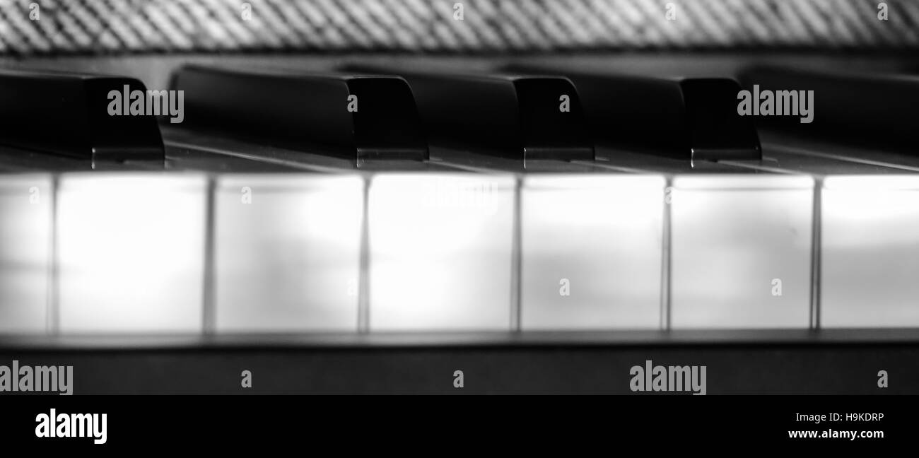 multiple beautiful detailed views of piano keys and notes and sheet ...