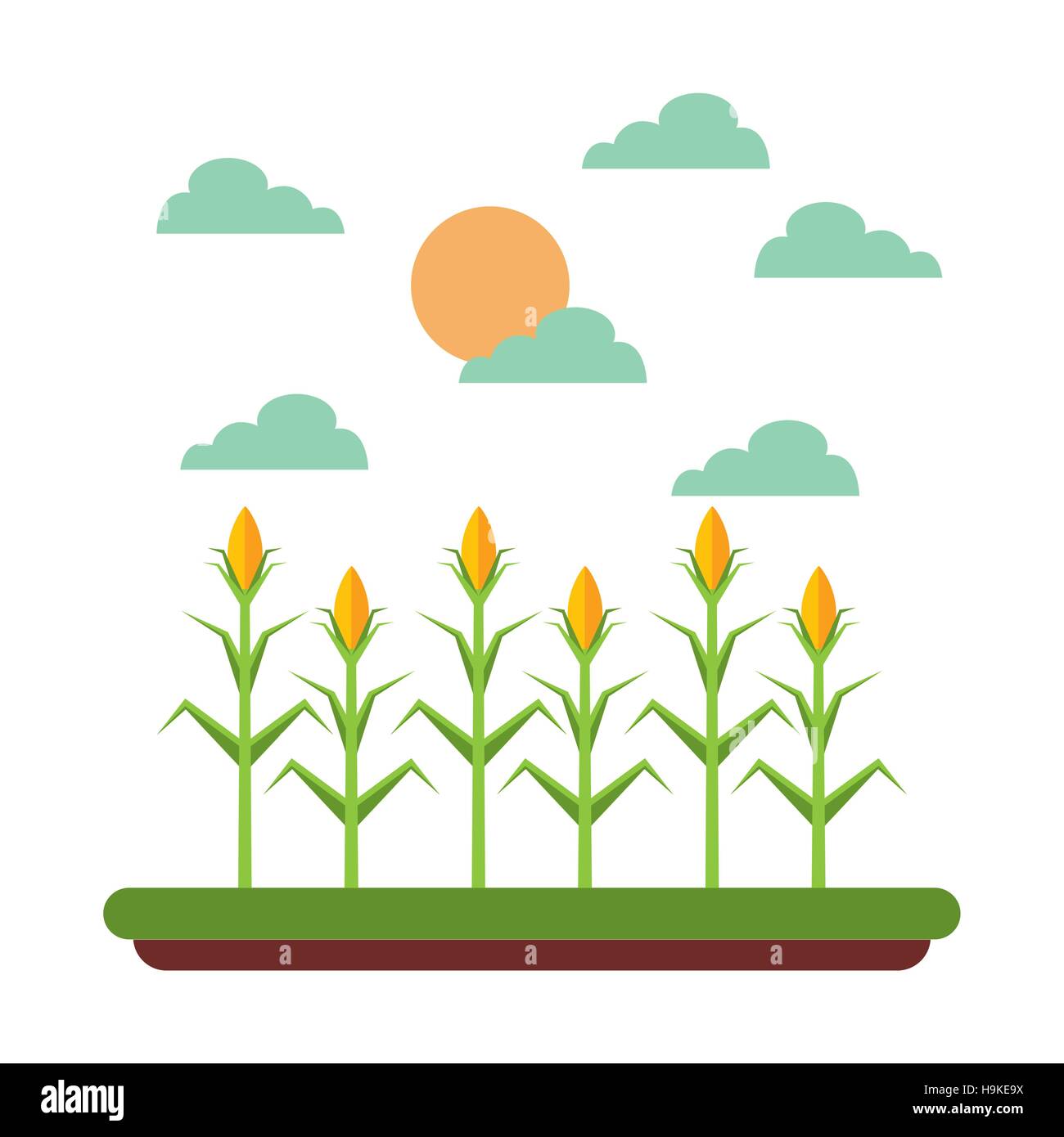 Corn Farm Clipart Background