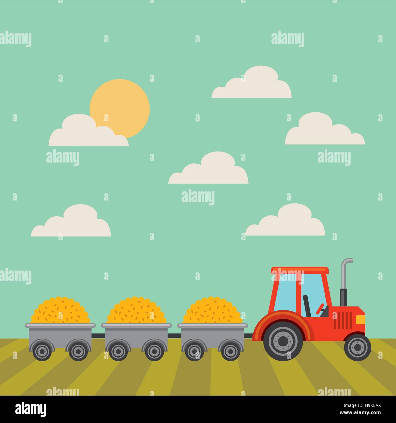 red tractor carrying corn in wagons on farm landscape. colorful design ...