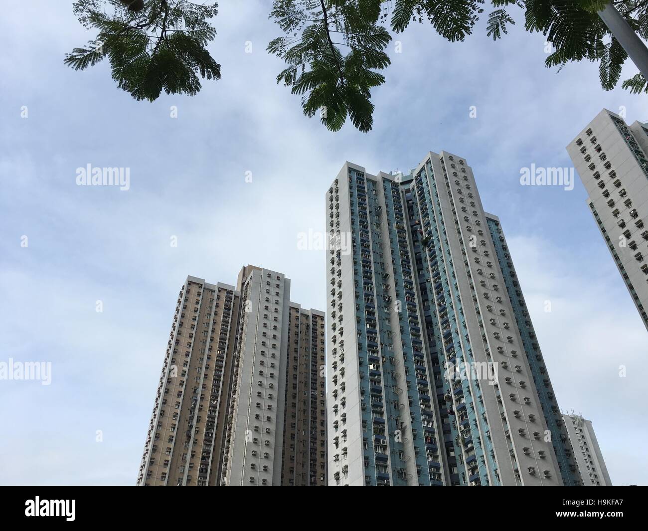 Council Flats buildings in Hong Kong Stock Photo - Alamy