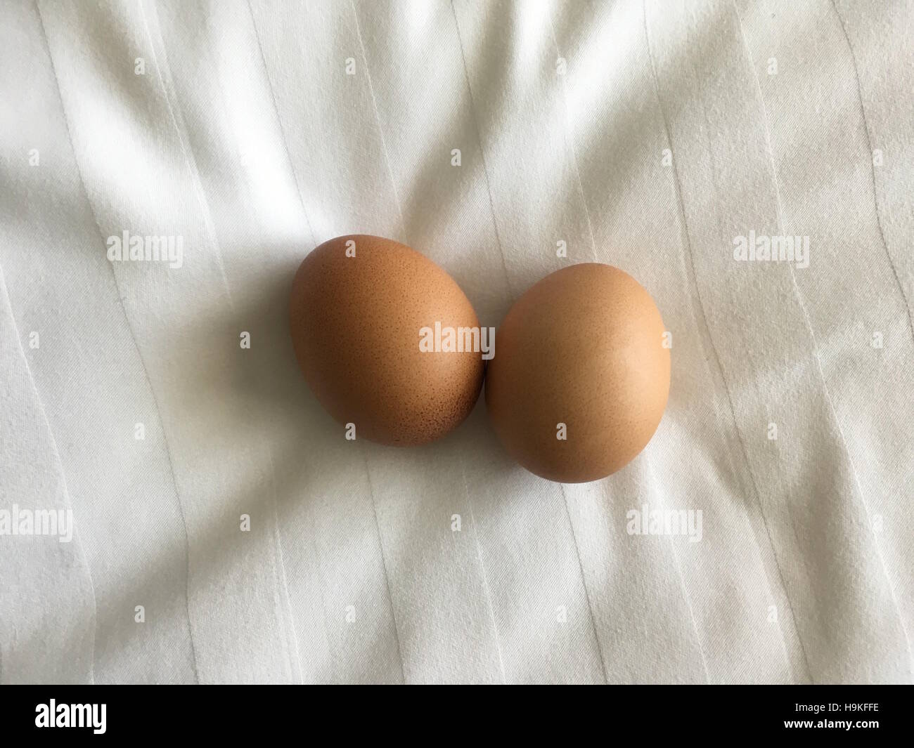 Egg Eggs Stock Photo Alamy