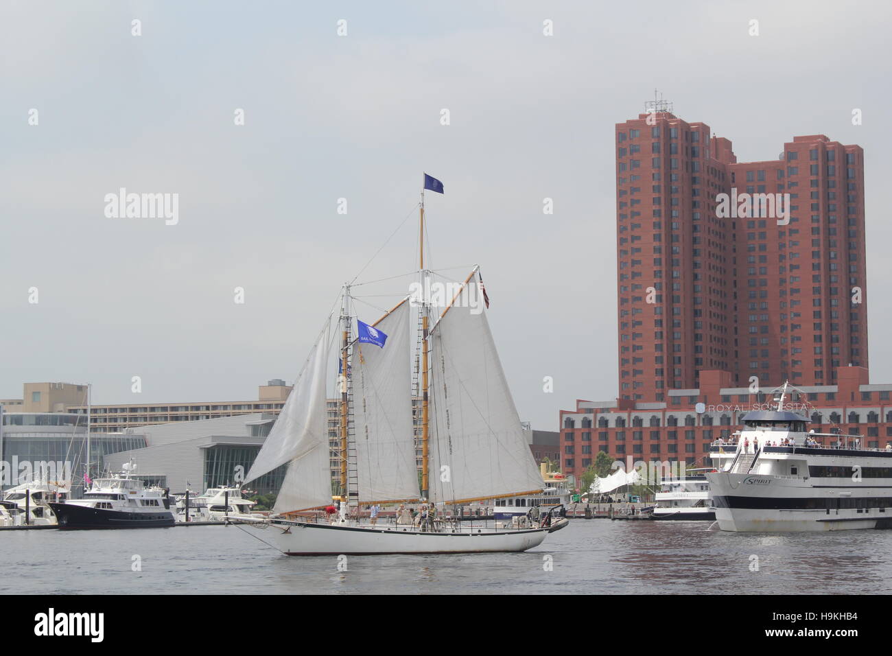 Sailabration at Baltimore Inner Harbor Stock Photo - Alamy