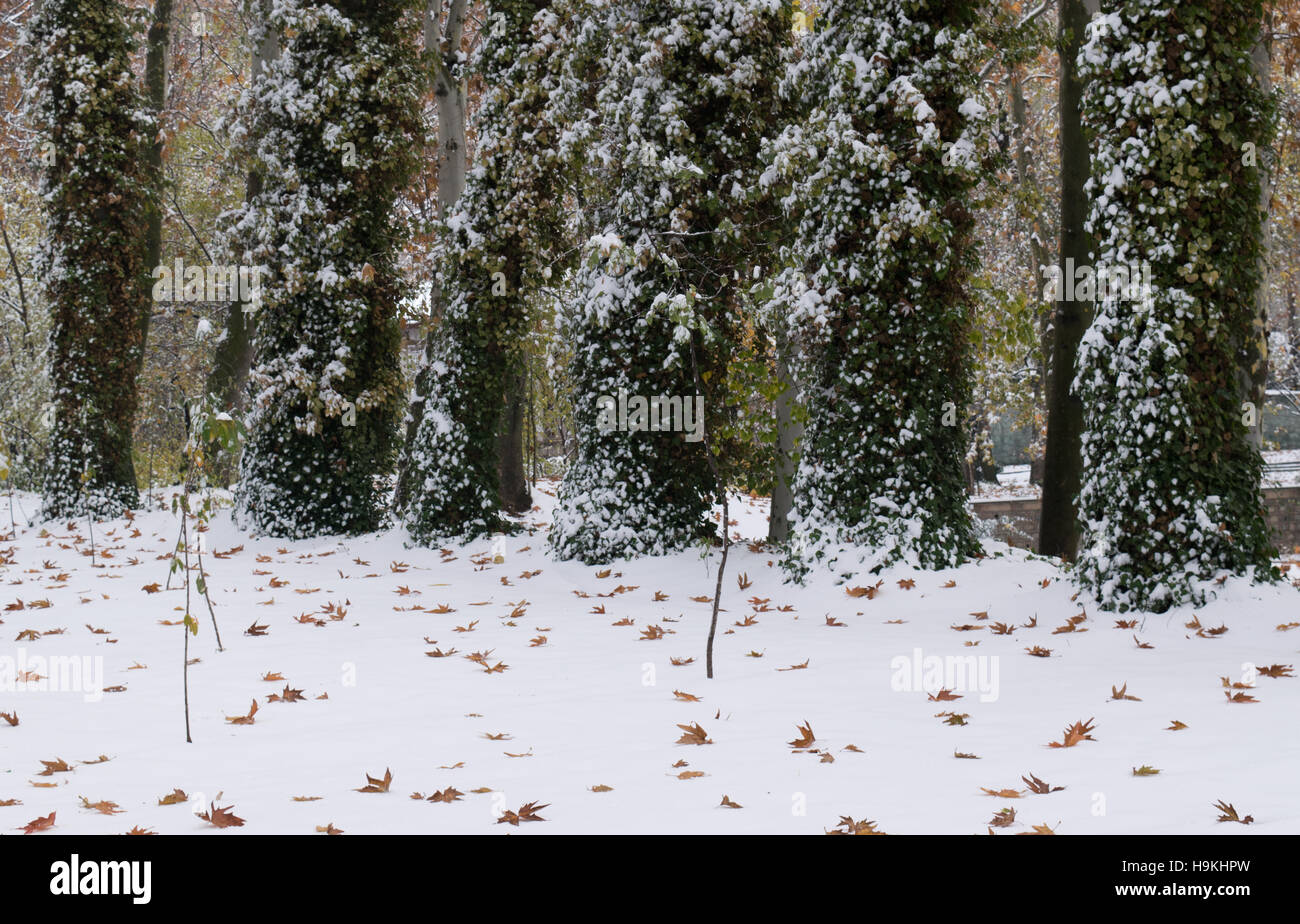 winter is coming Stock Photo - Alamy
