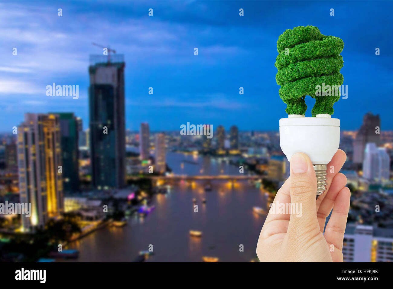hand holding eco light bulb energy concept Stock Photo - Alamy