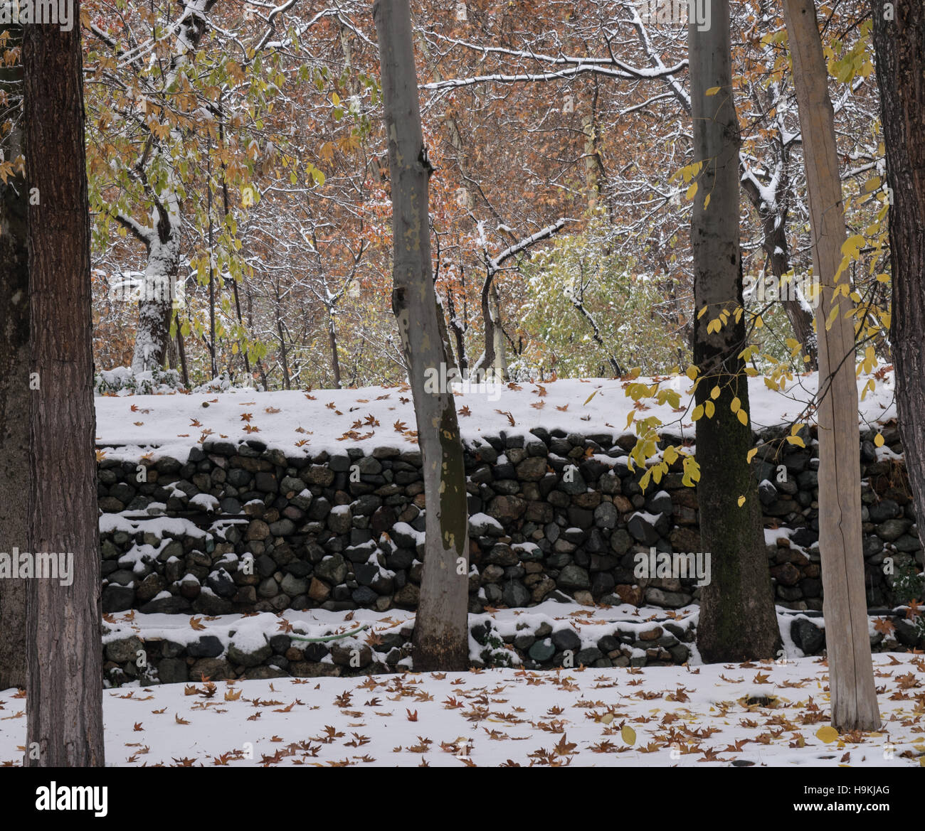 snowy stone wall Stock Photo - Alamy