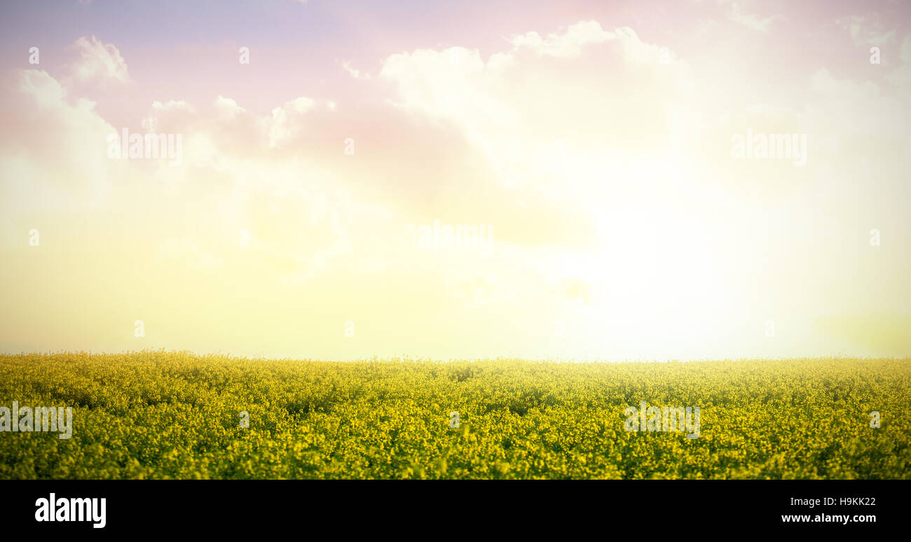 Flying over the horizon hi-res stock photography and images - Alamy