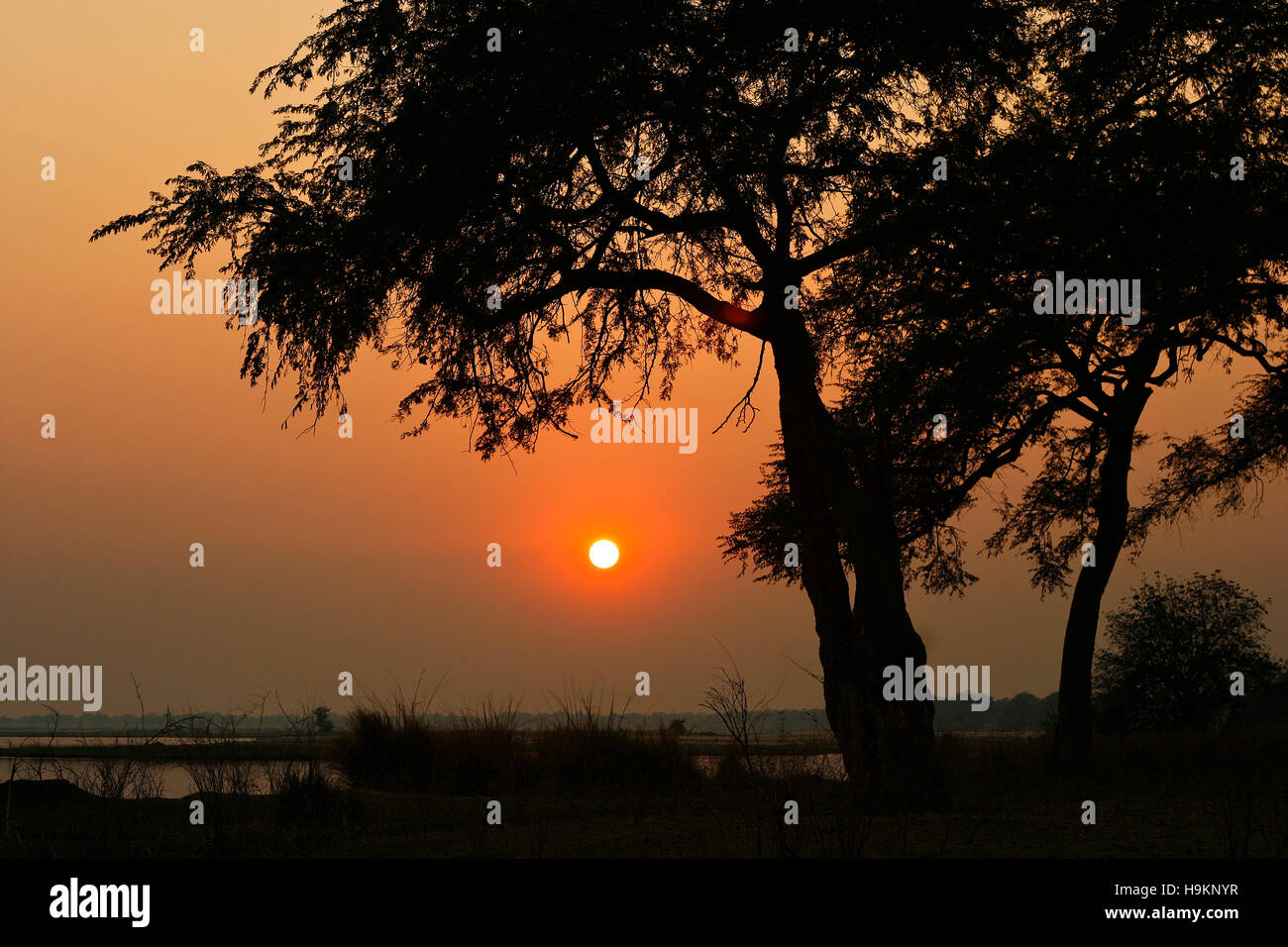 Zambezi river. Mana Pools National Park. Zimbabwe Stock Photo - Alamy