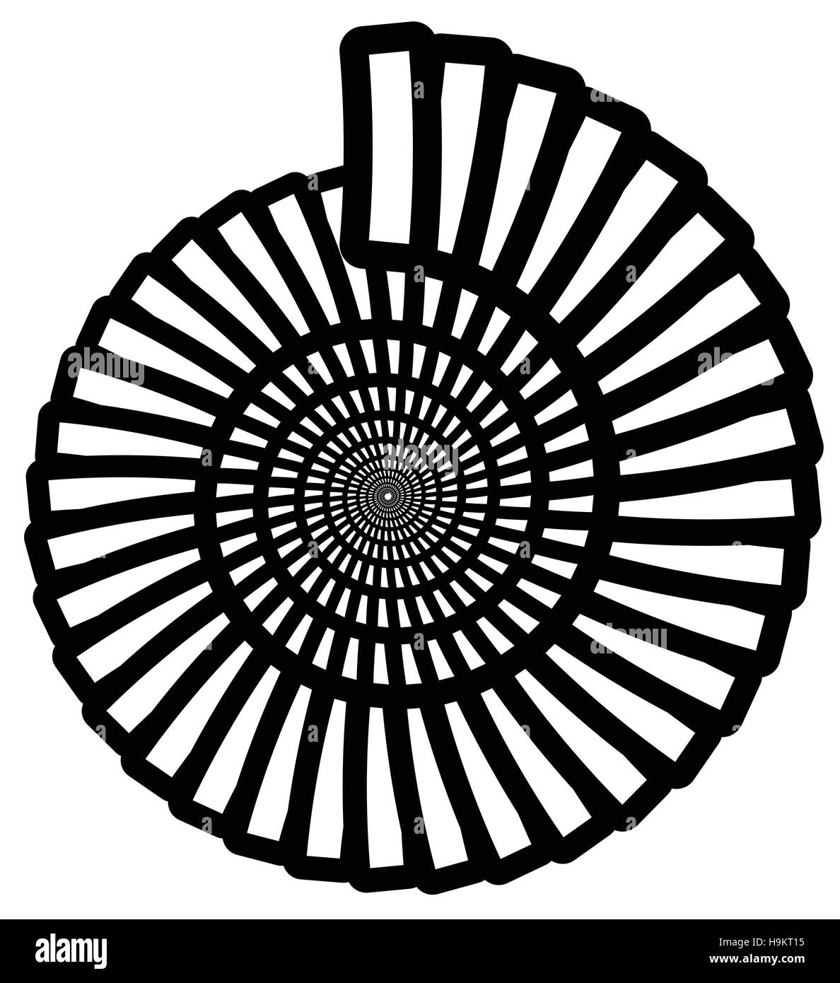 Circular geometric spiral, volute element. Rotating radial shape Stock ...