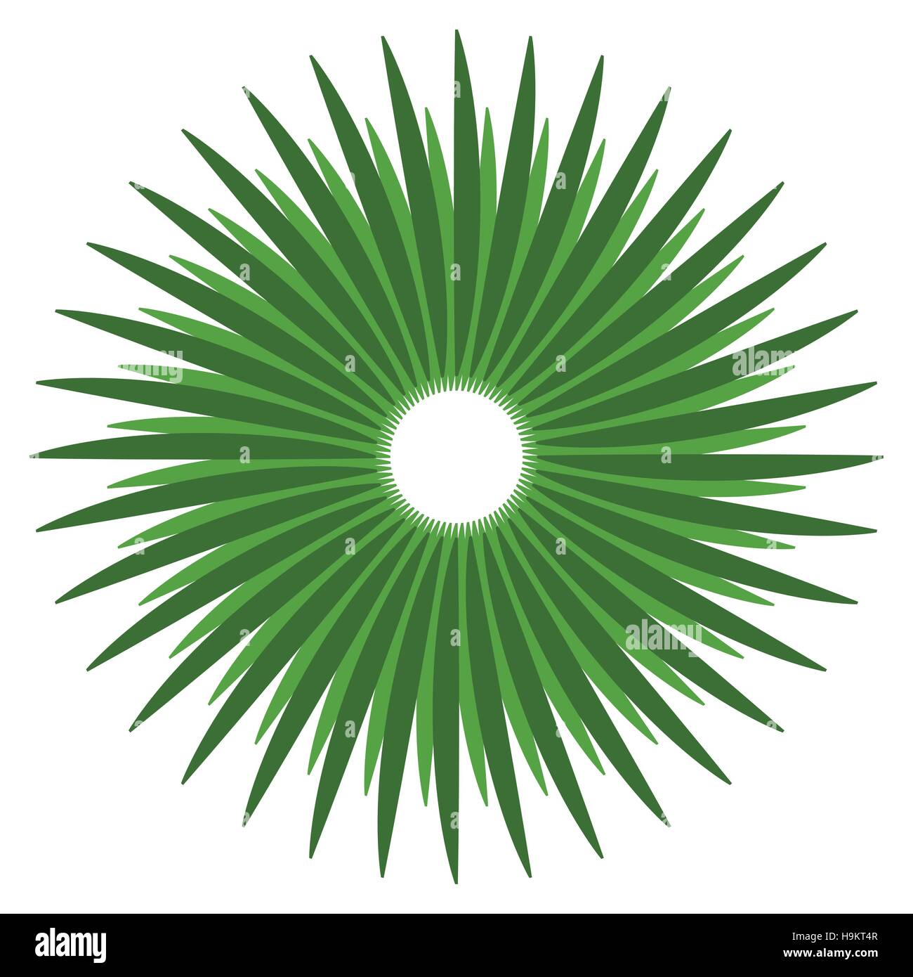 Abstract shape with circular lines for nature concepts. Radial lines ...