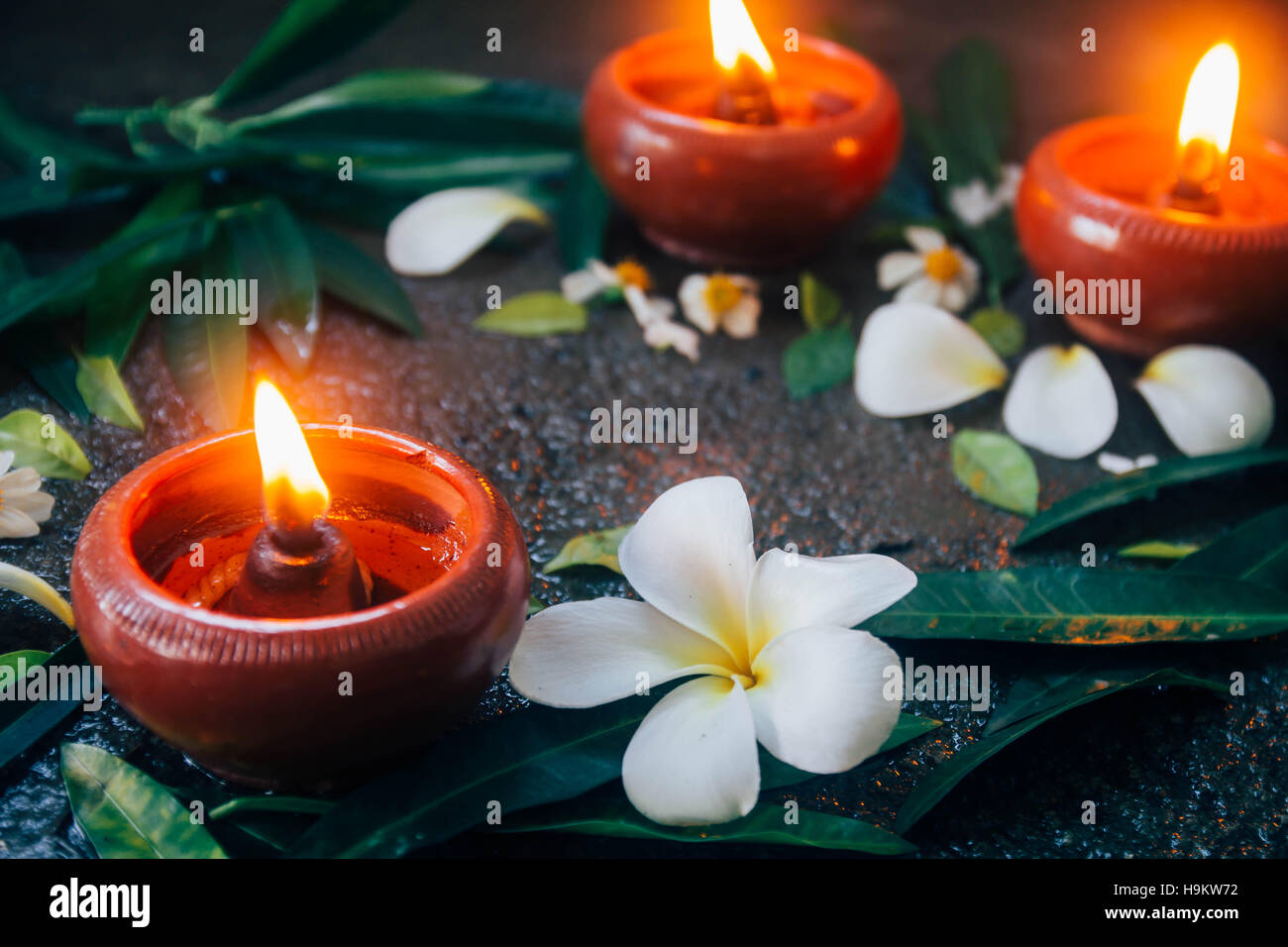 Candle light surrounding by dark nature Stock Photo - Alamy