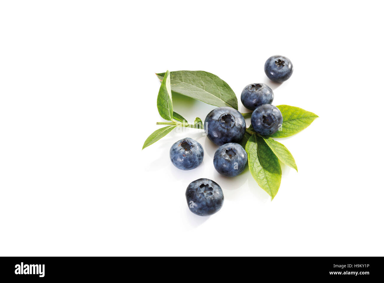 Blueberries with leaves Stock Photo - Alamy