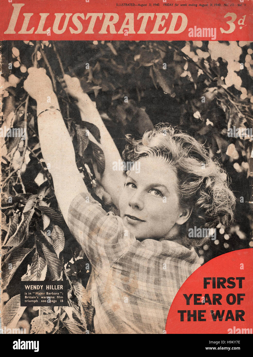 1940 Illustrated Actress Wendy Hiller Stock Photo - Alamy