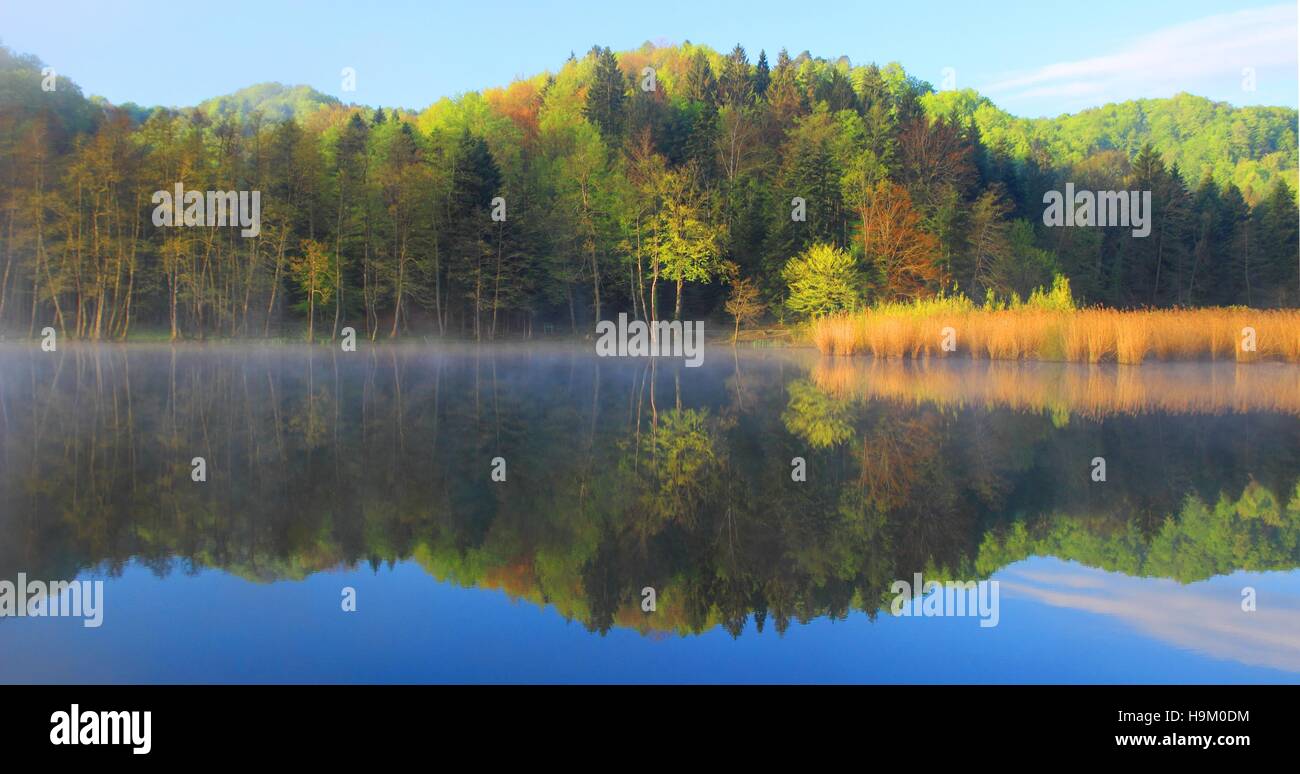 Lake landscape with forest reflection in water. Colorful scene in ...