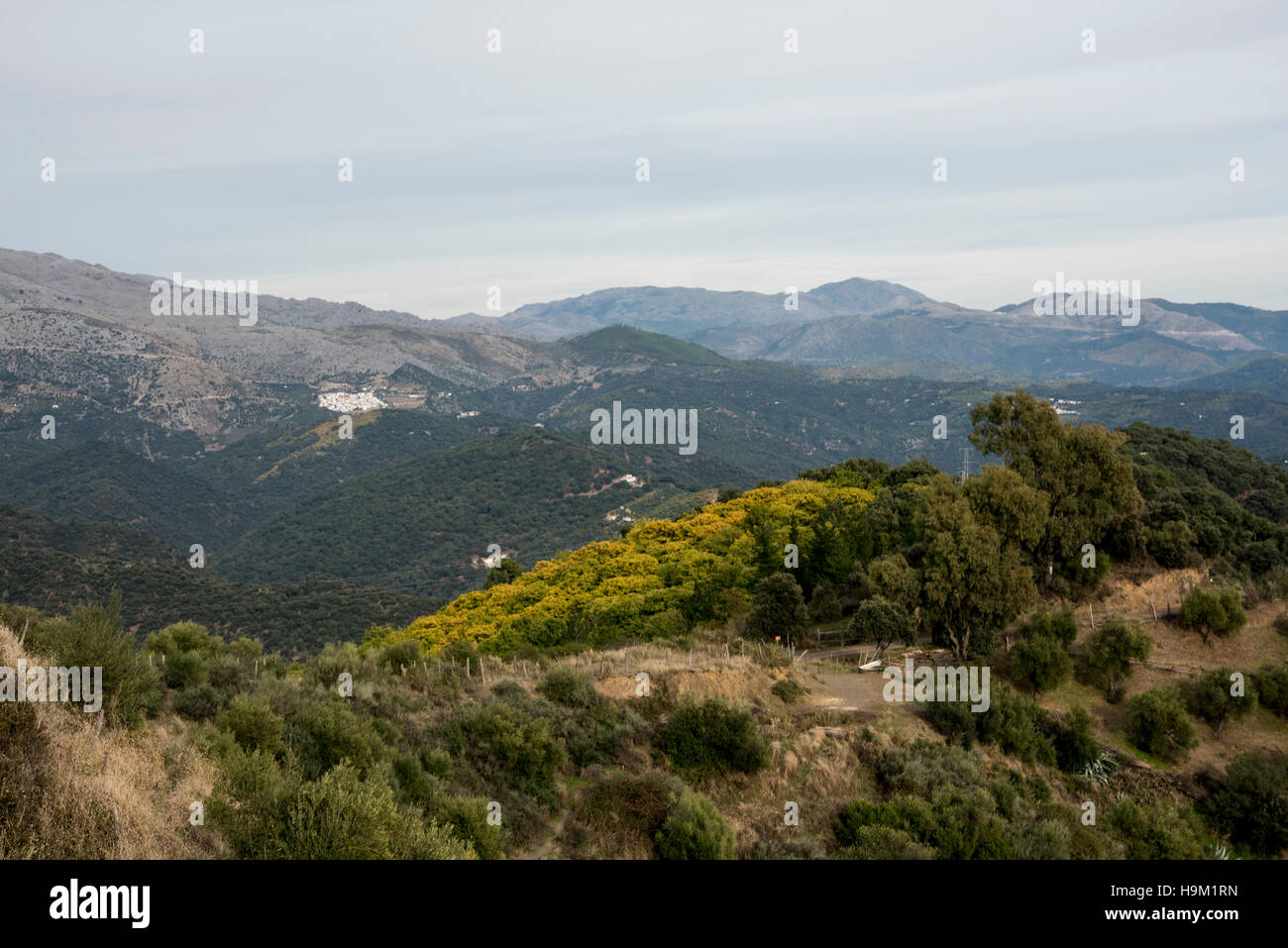 Benadalid hi-res stock photography and images - Alamy