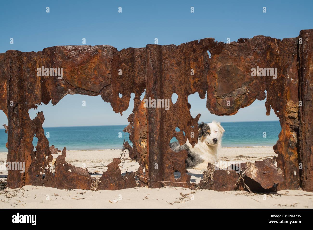 Belle ile en mer france hi-res stock photography and images - Alamy