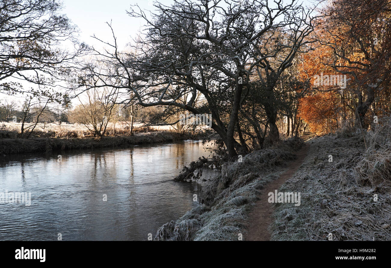 RIVER TYNE ON A FROSTY DAY, HADDINGTON SCOTLAND Stock Photo - Alamy