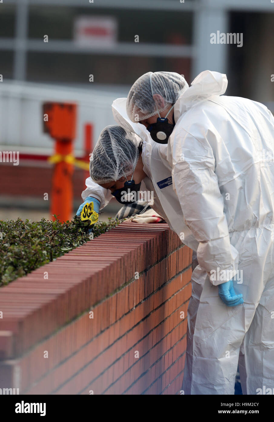 Stab wound chest hi-res stock photography and images - Alamy