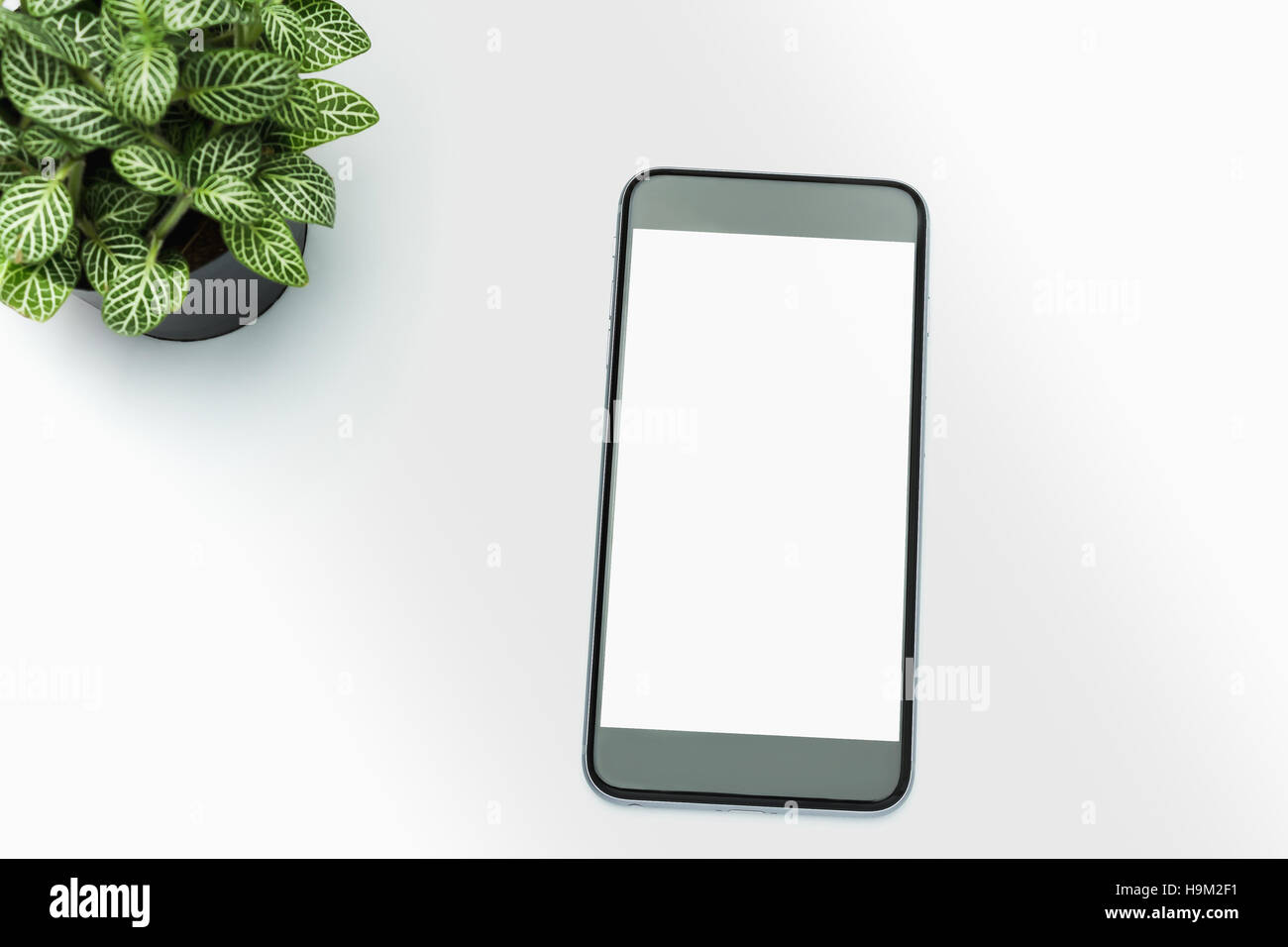 Smart phone and tree on White background. You can put in ads Stock ...