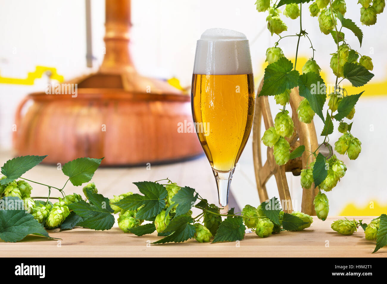 Beer hops boiler hi-res stock photography and images - Alamy