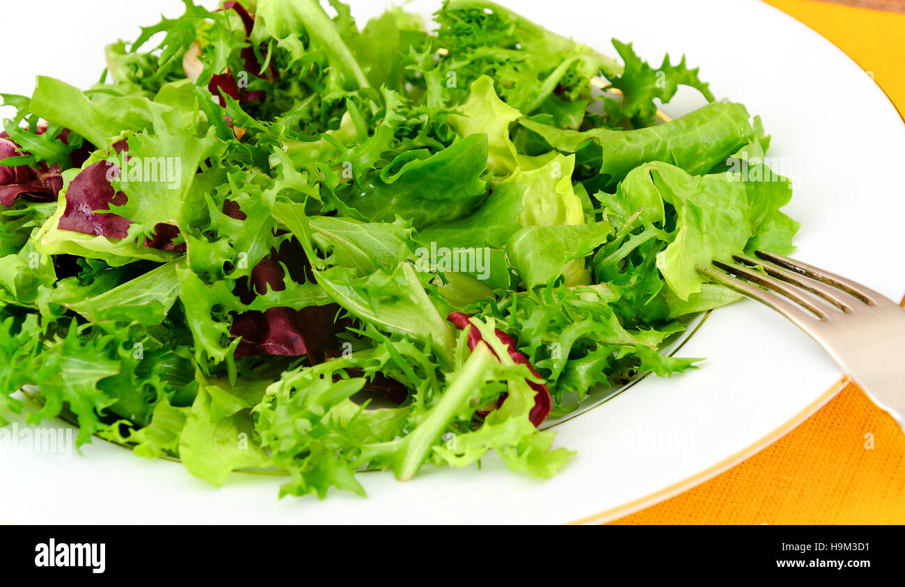 Green Fresh Salad on Plate. Studio Photo Stock Photo - Alamy