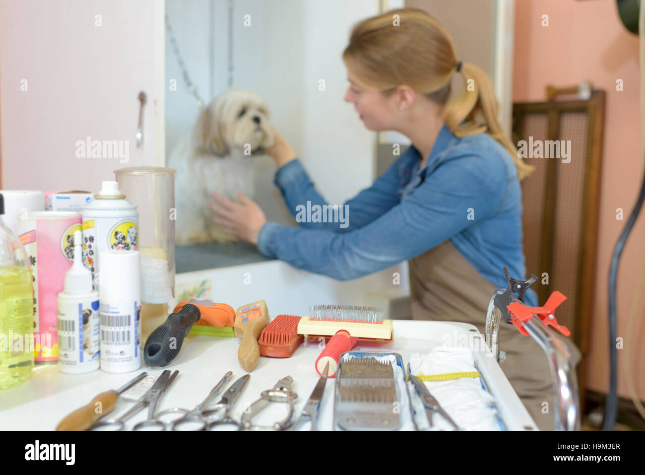 Grooming activity hi-res stock photography and images - Alamy