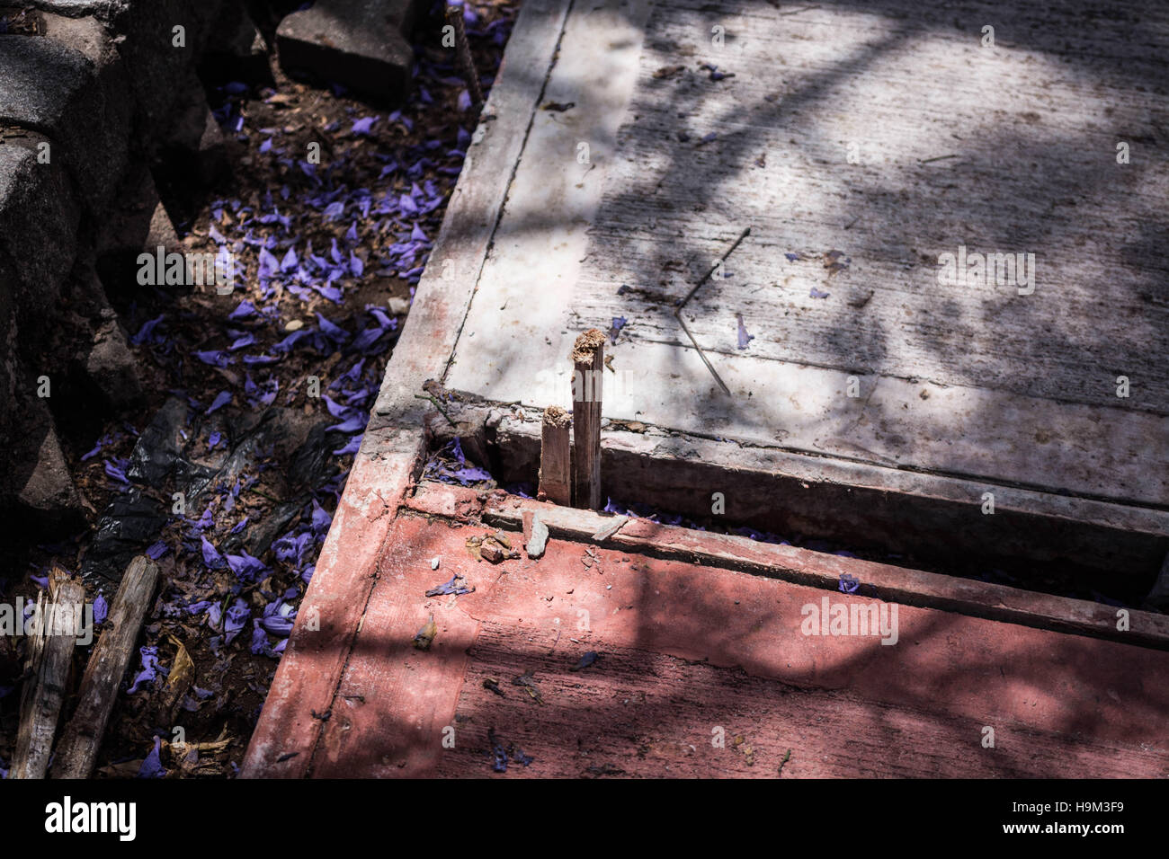 Wood pieces placed in between two floor tiles Stock Photo - Alamy