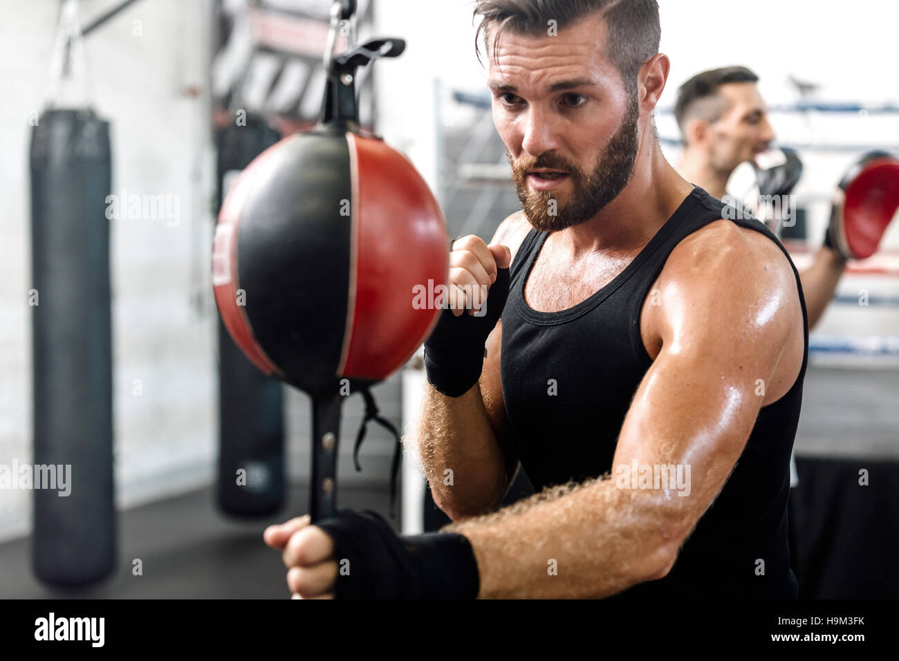 Punching_ball hi-res stock photography and images - Alamy