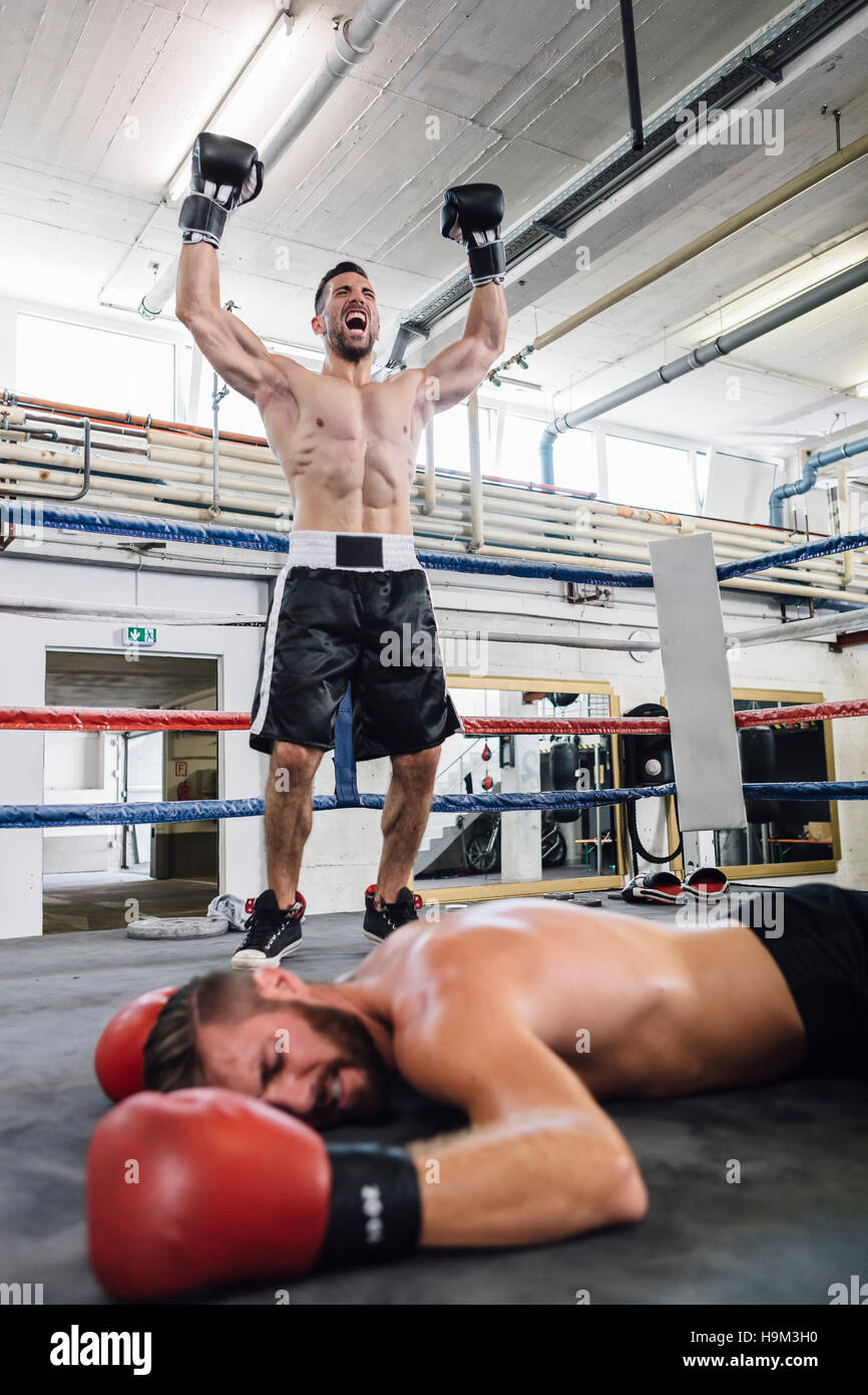Boxer celebrating victory over his opponent Stock Photo - Alamy