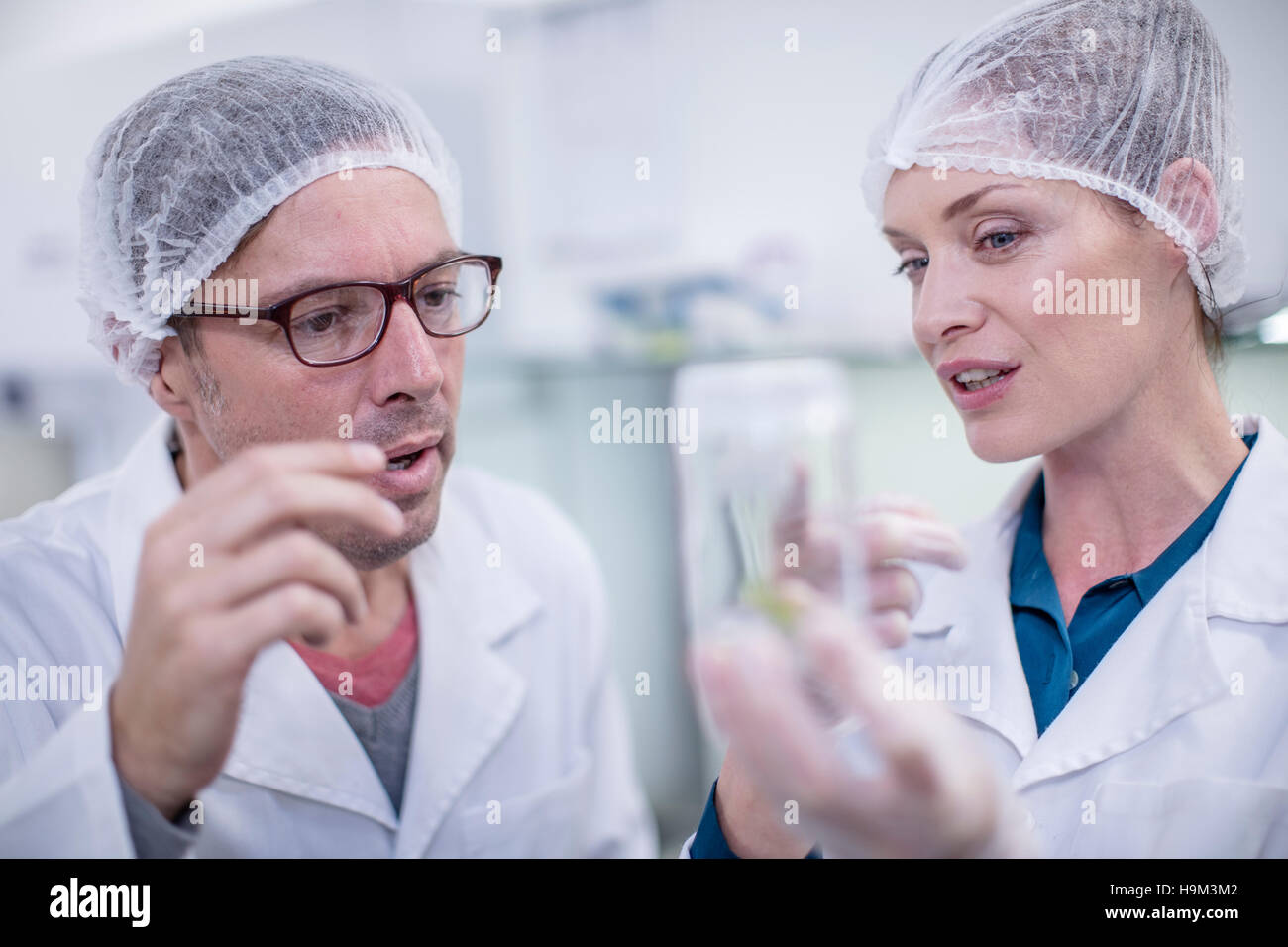 Scientists working in lab wearing protective clothing Stock Photo - Alamy
