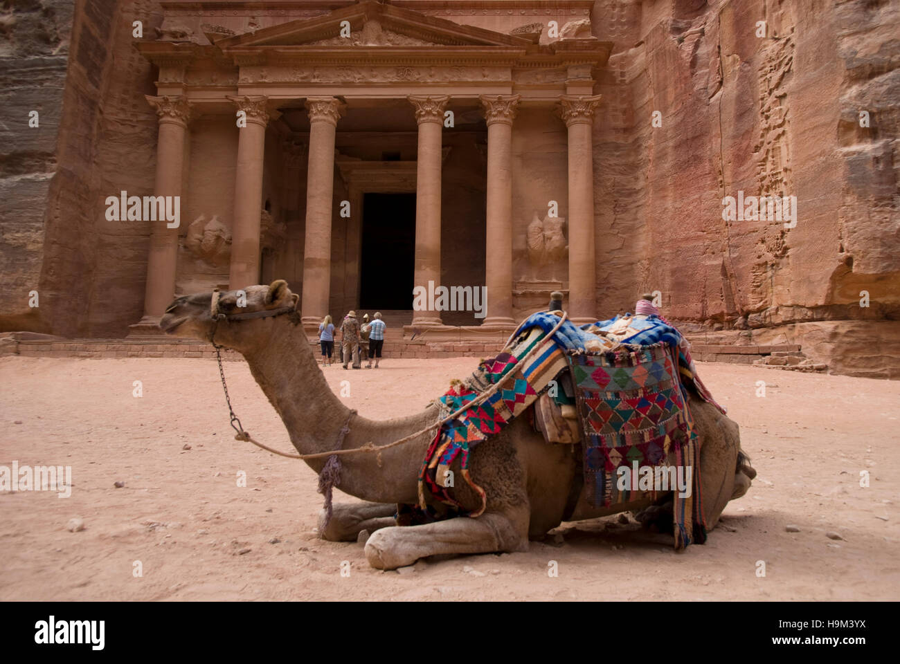 Camel rest in front al hi-res stock photography and images - Alamy