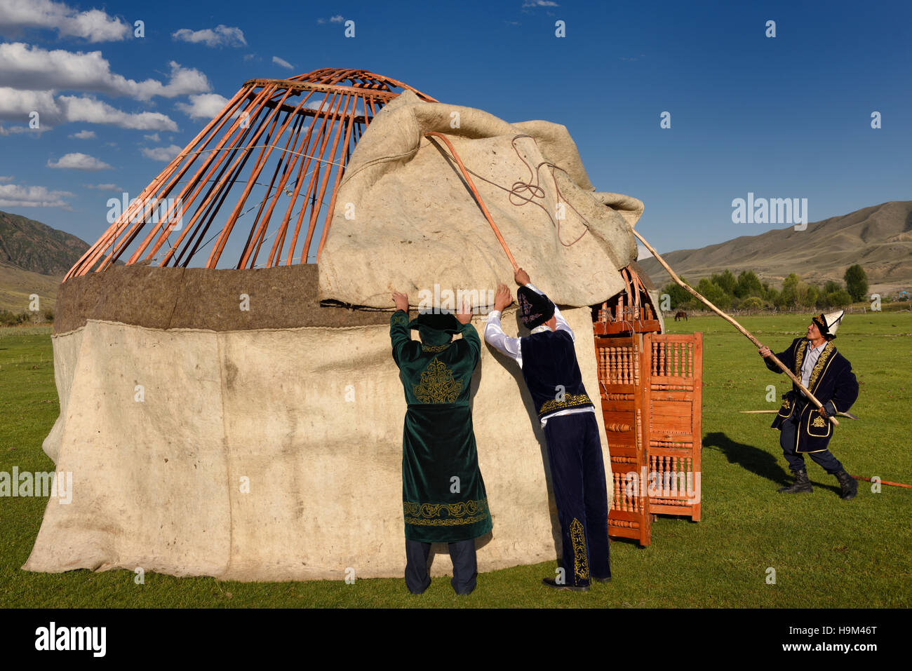 Men in traditional dress assembling wool felt covers over Yurt frame in ...