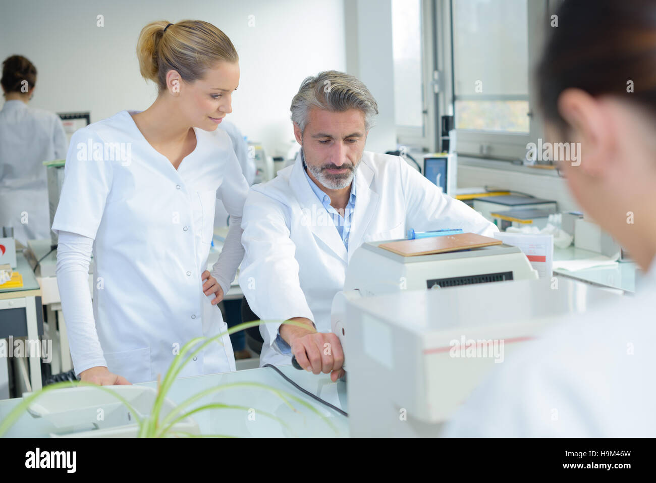 in the lab Stock Photo - Alamy