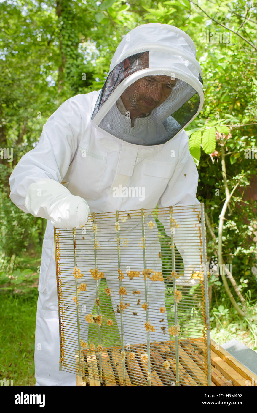 Beehive grill hi-res stock photography and images - Alamy