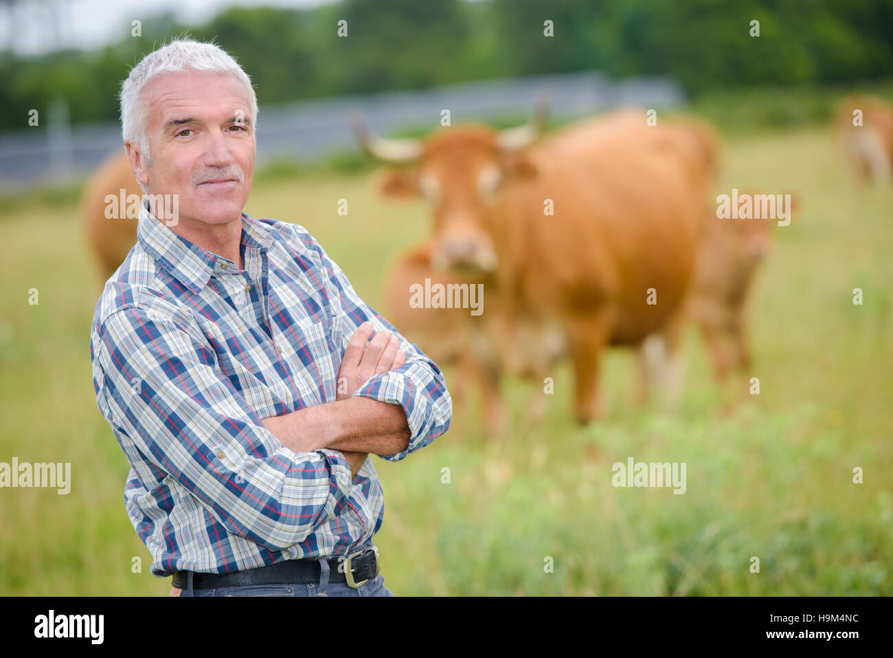 Portrait of farmer in field Stock Photo - Alamy
