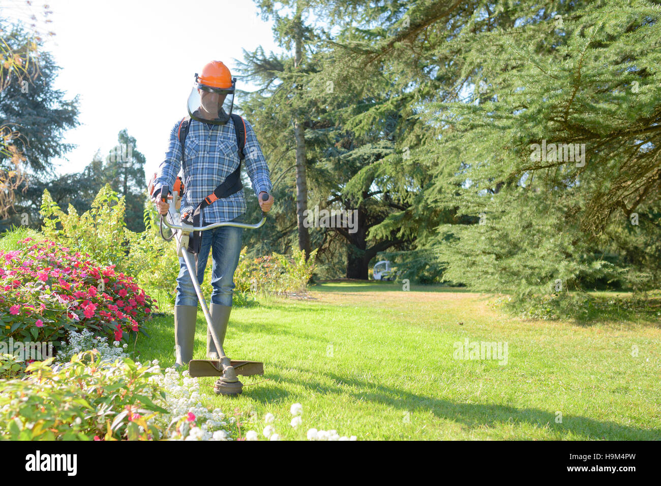 trimming the grass Stock Photo - Alamy