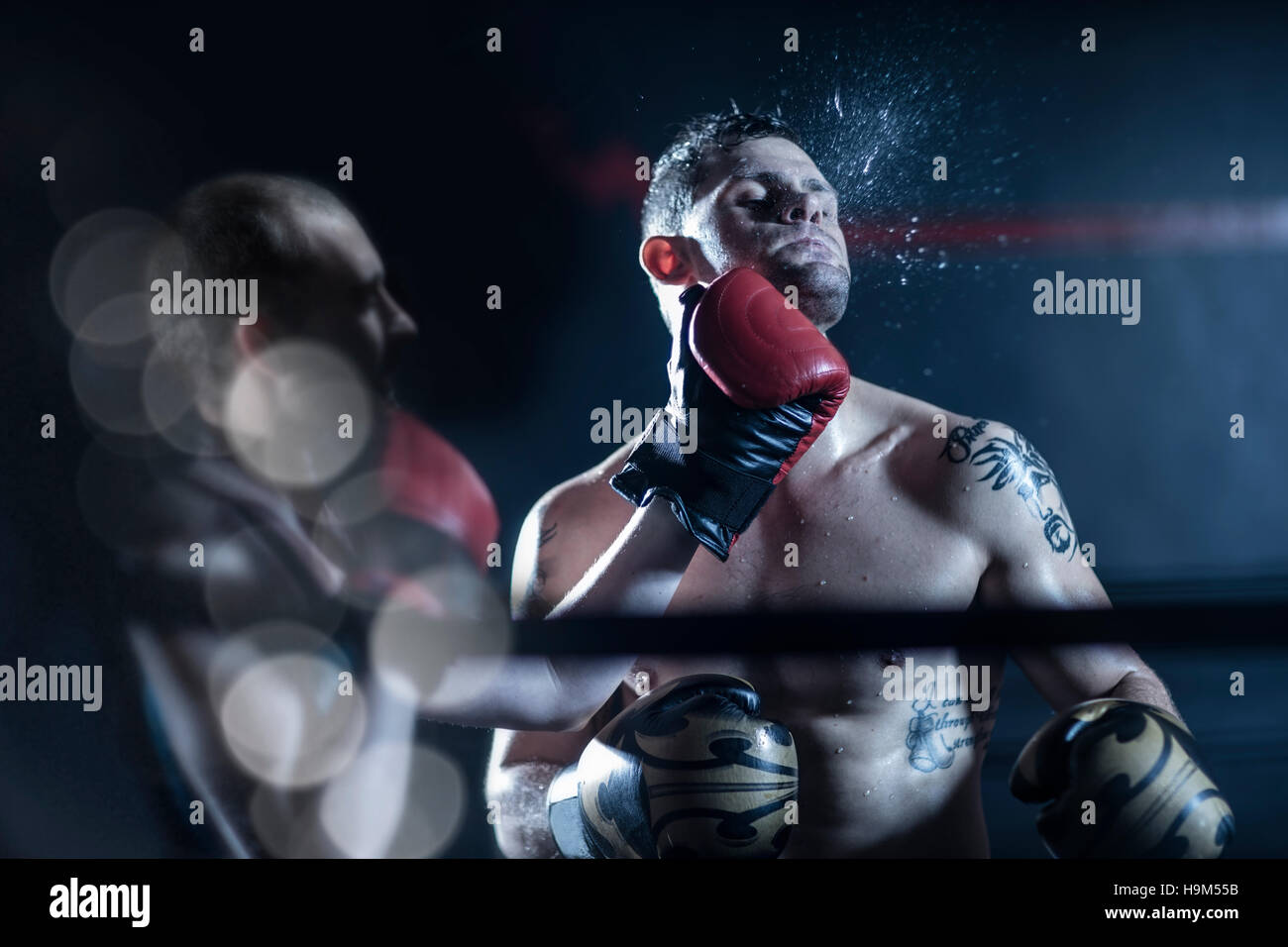 Boxer hitting opponent Stock Photo - Alamy
