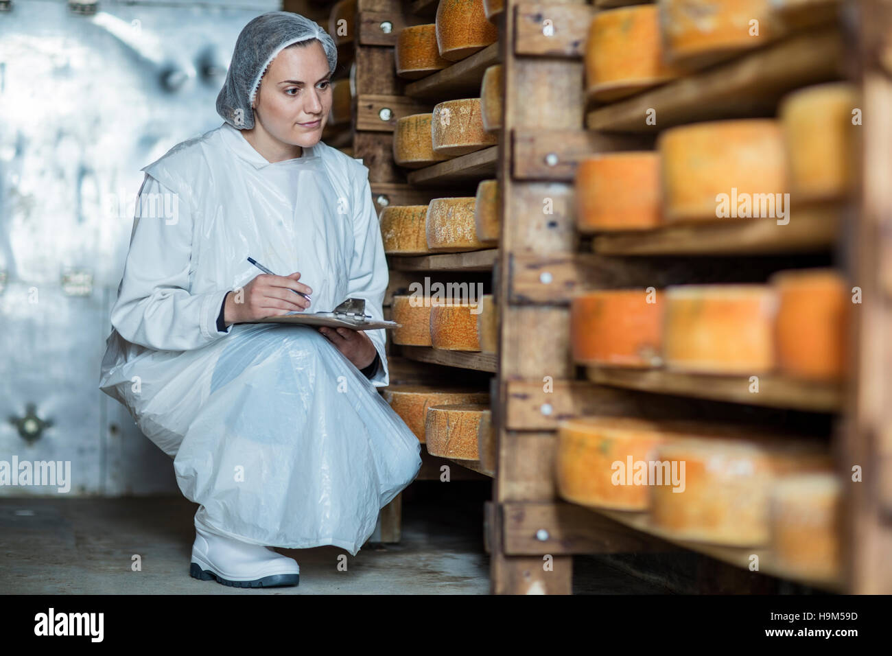 Cheese factory worker controlling maturation of cheese Stock Photo - Alamy
