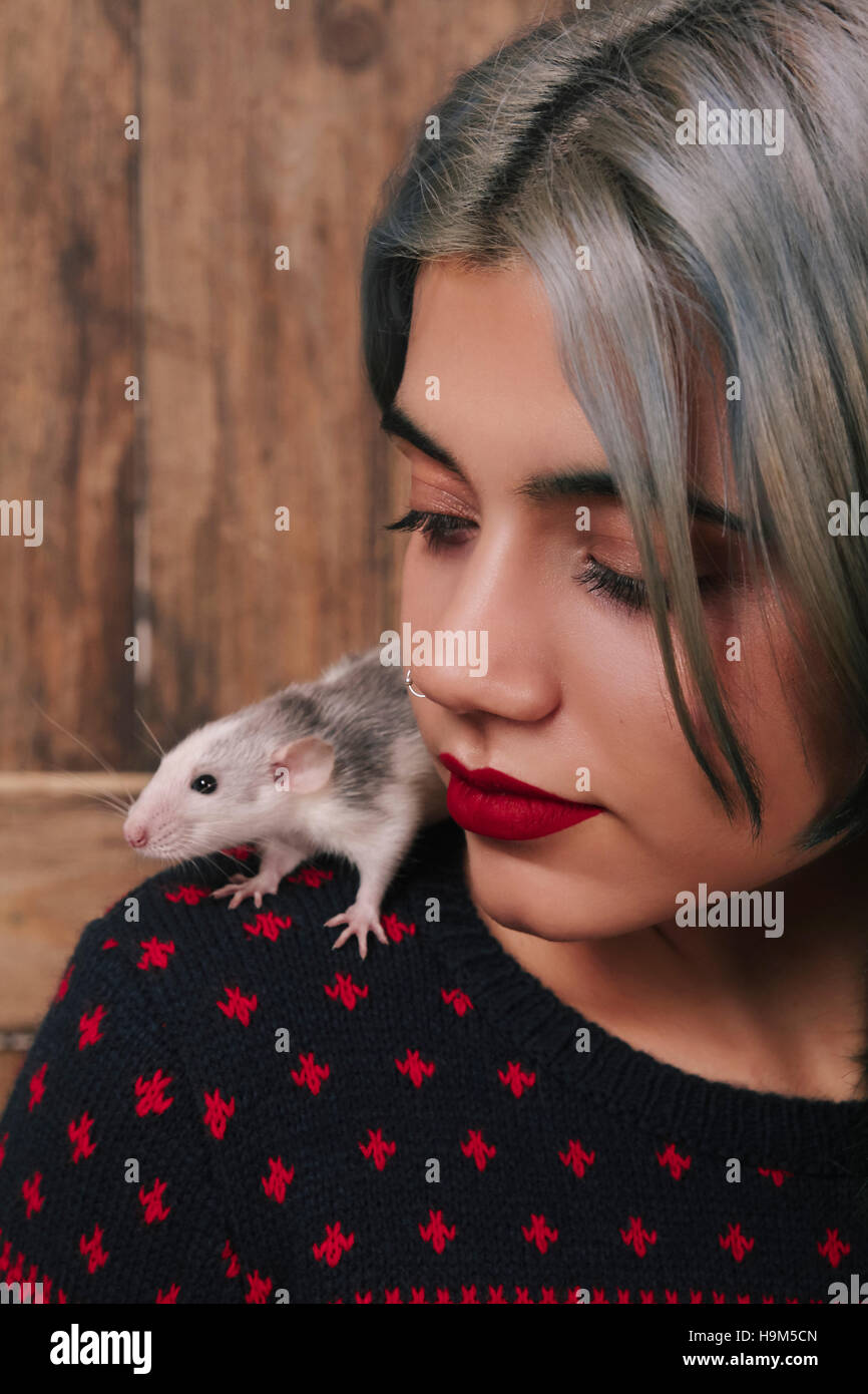 Pet rat hi-res stock photography and images - Alamy
