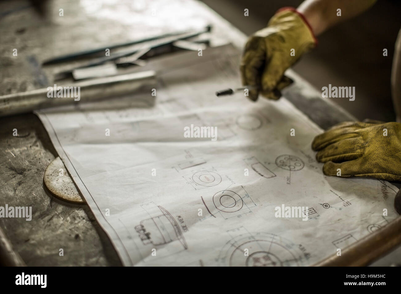 Man in construction company working with blueprint Stock Photo - Alamy