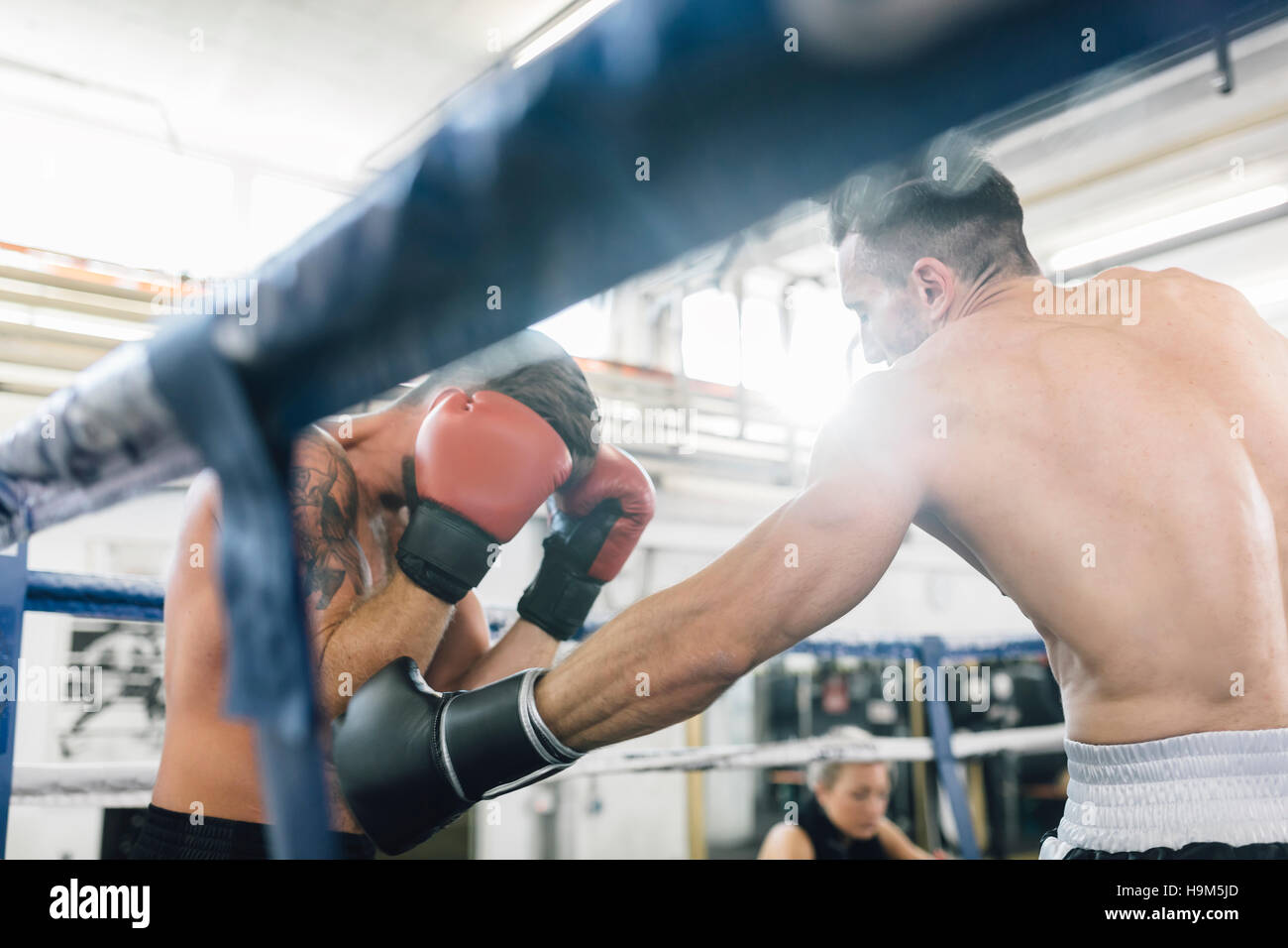 Two boxers fighting in boxing ring Stock Photo - Alamy