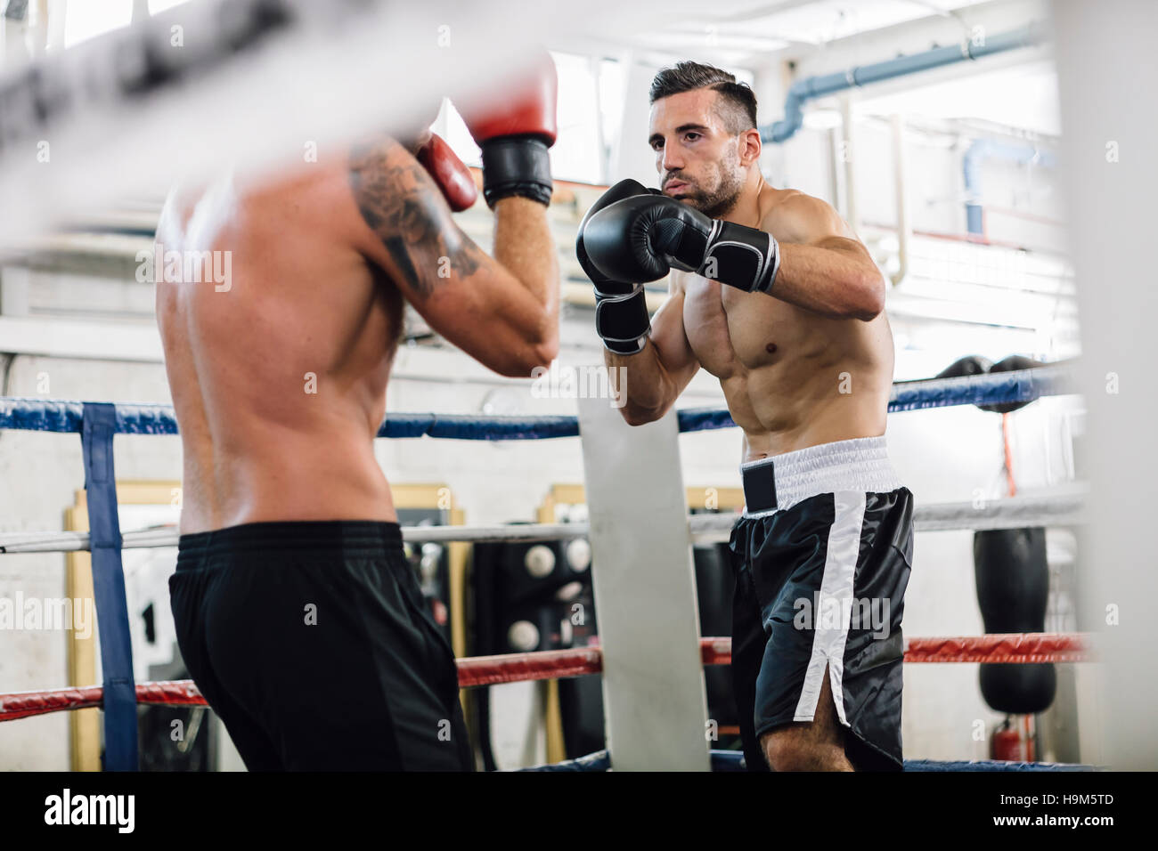 Two boxers fighting in boxing ring Stock Photo - Alamy