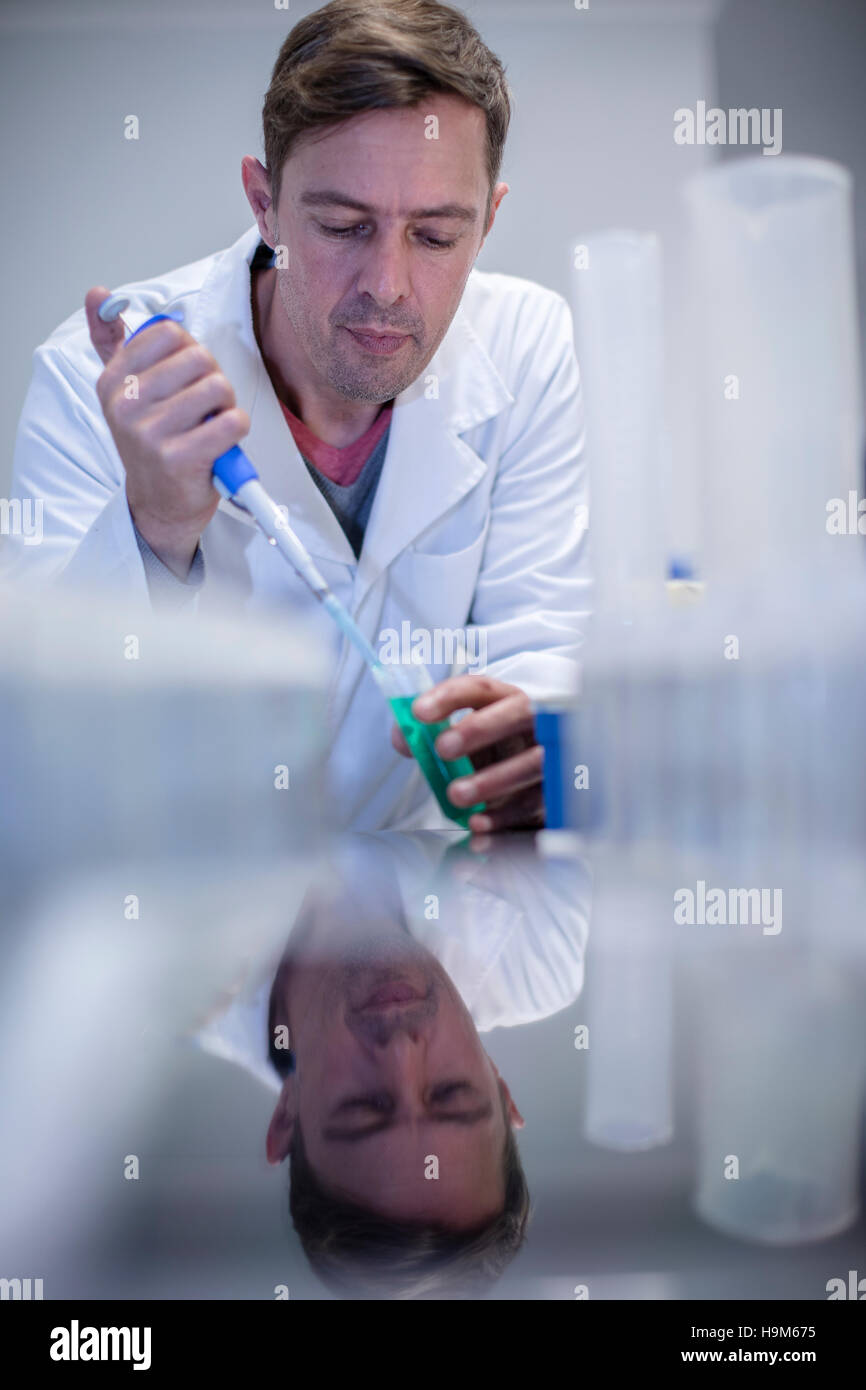 Scientist pipetting in lab Stock Photo - Alamy