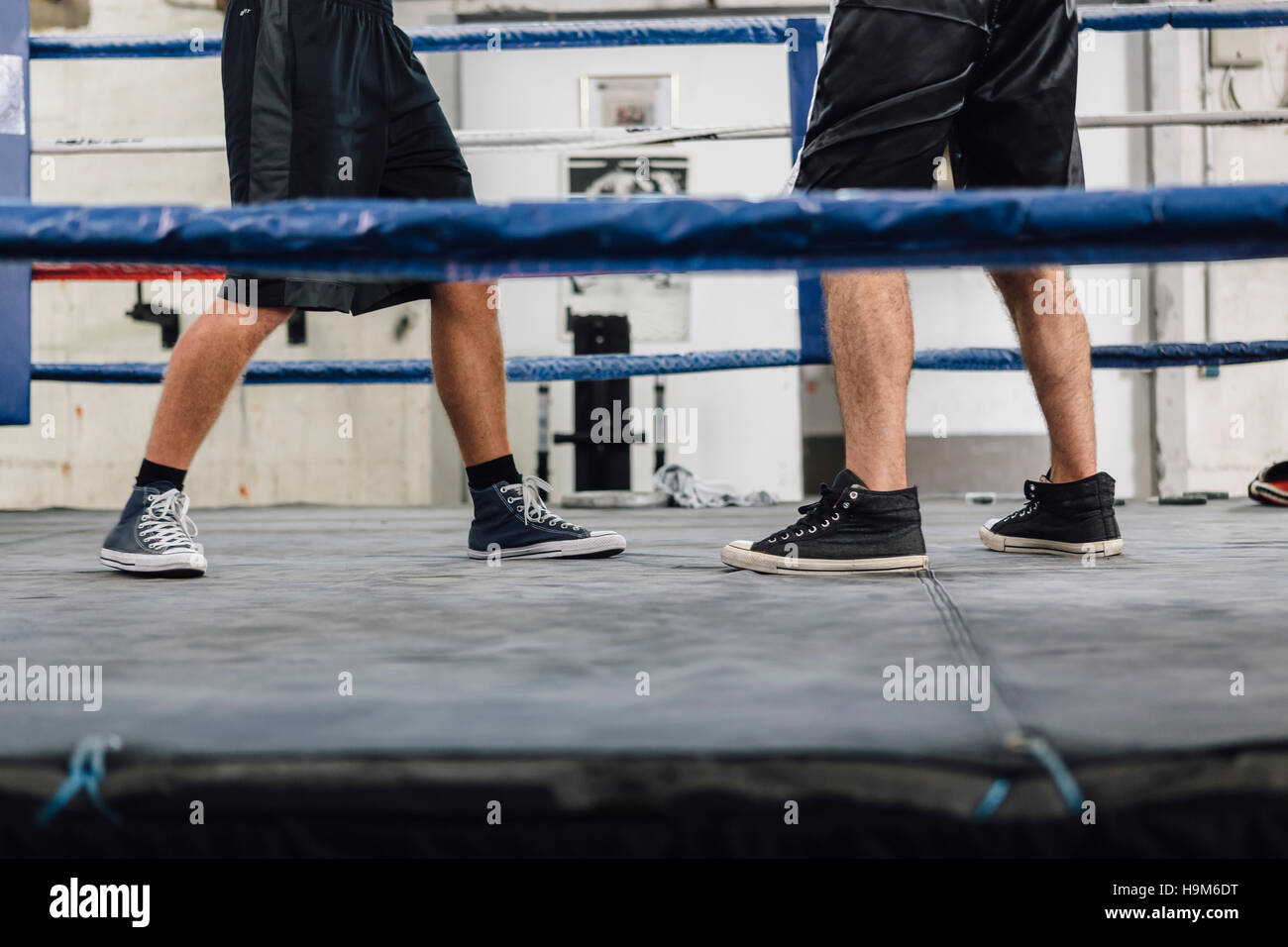 Legs of two boxers in boxing ring Stock Photo - Alamy