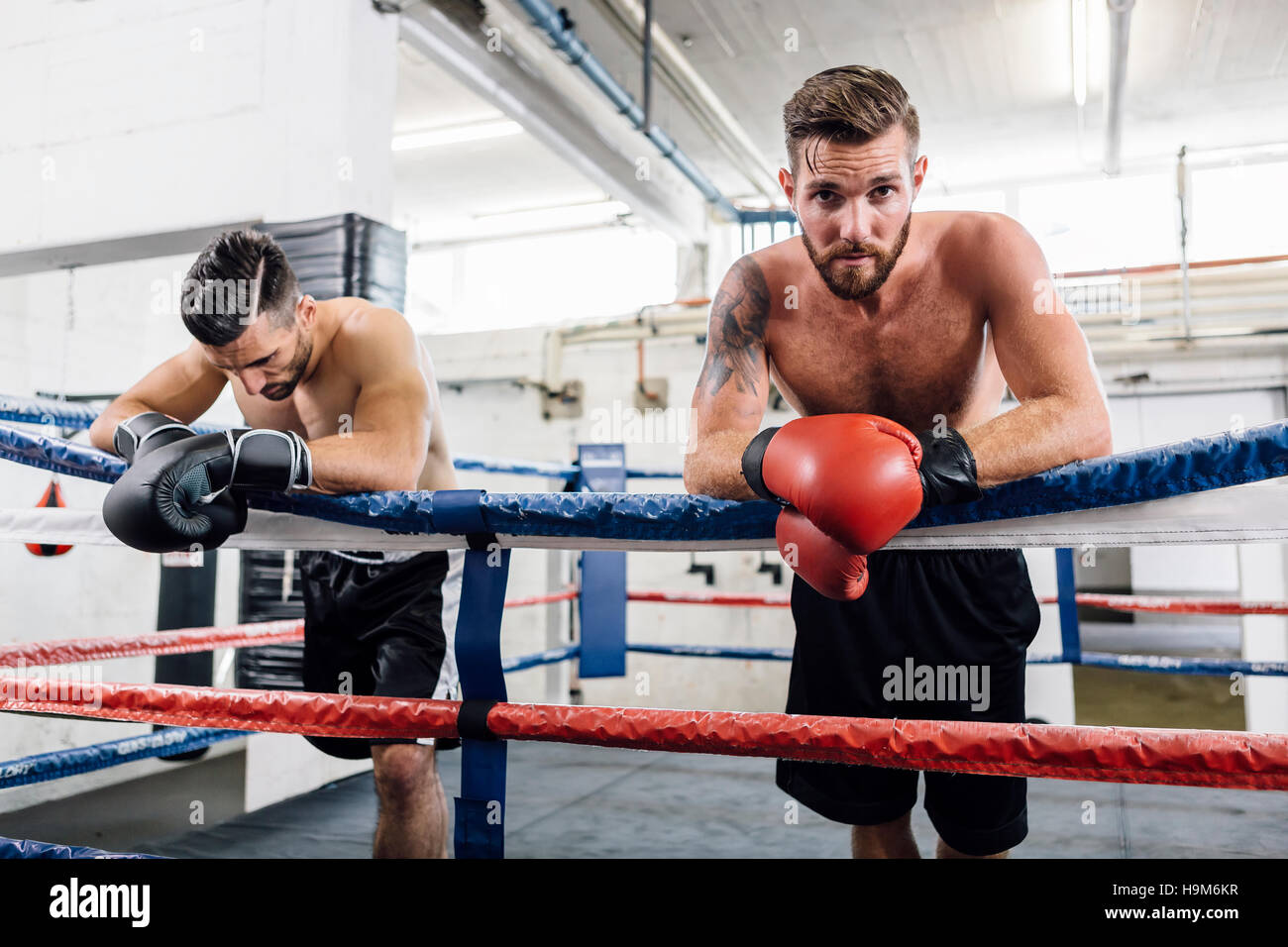 Two boxers resting in boxing ring Stock Photo - Alamy