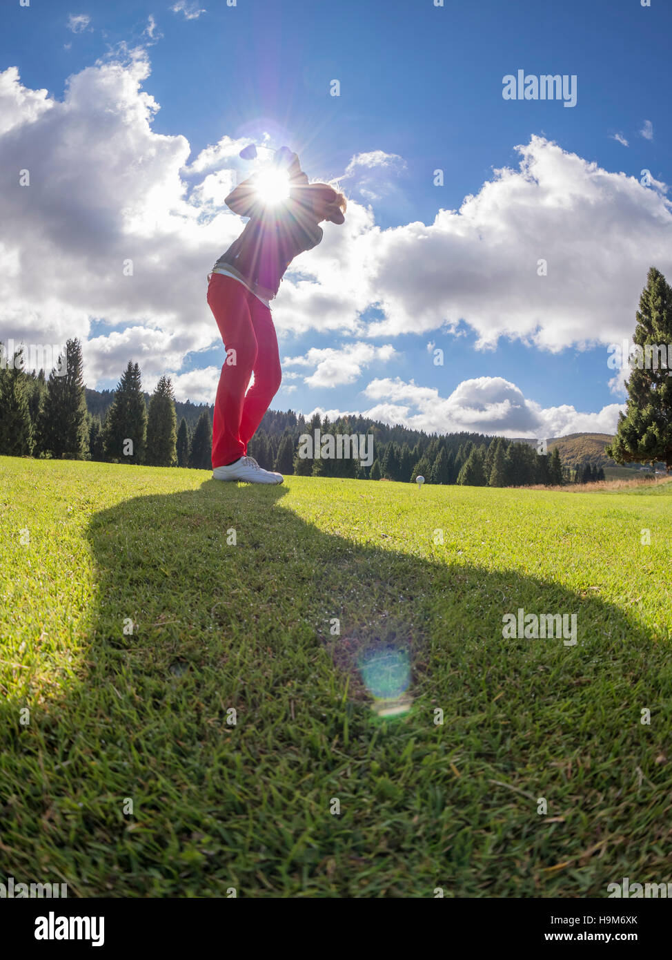 Golfer on golf course at backlight Stock Photo - Alamy